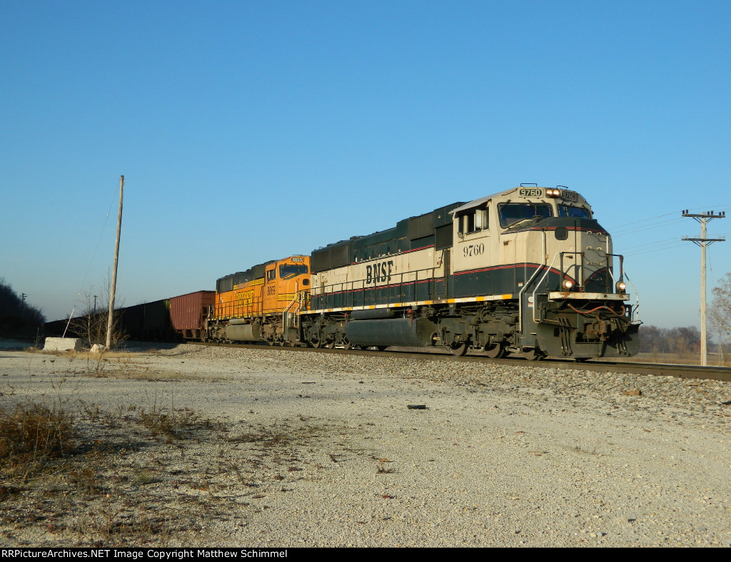 Out Of The Shade & Into The Sun